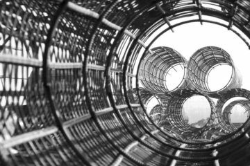 Everything you need to know about Cement and Cement Bricks